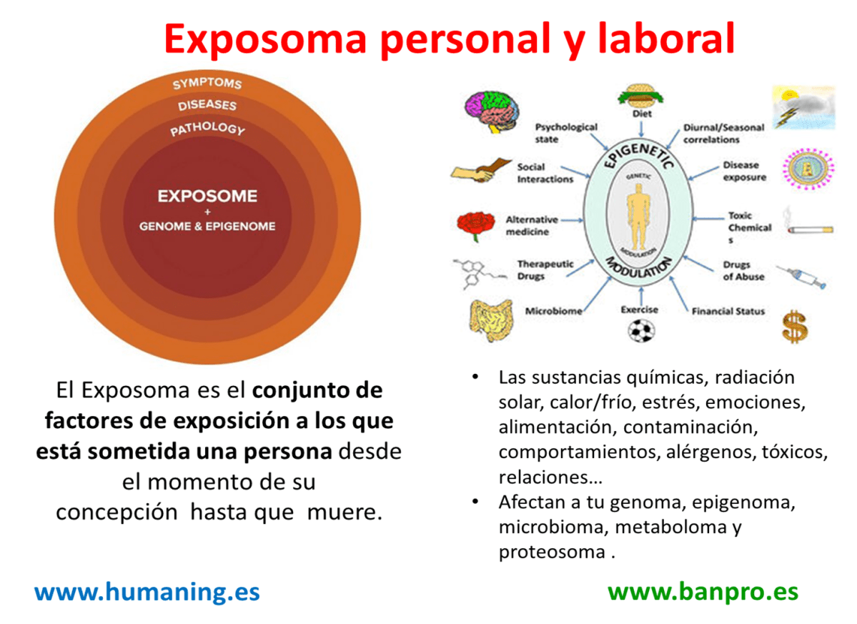¿Cual es tu exposoma personal? ¿Y tu exposoma laboral? – Tomas Elorriaga